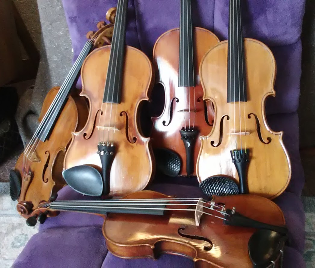 Love of my Life - Fiddler Dan Violins & Workshop, Brisbane